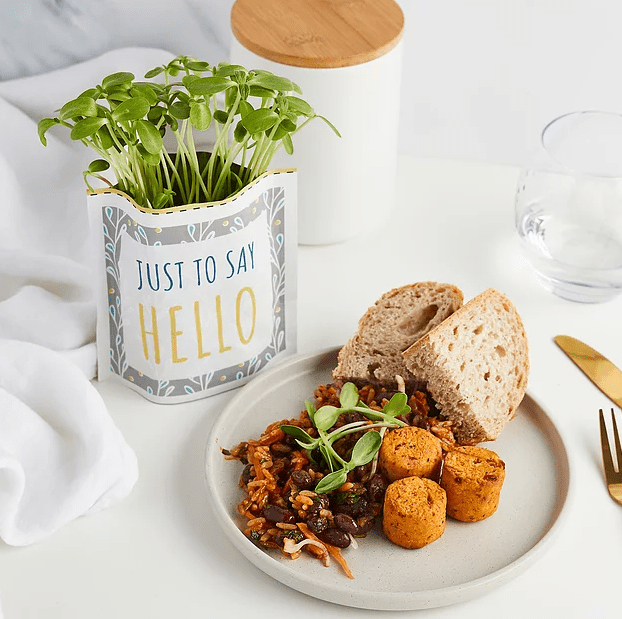 Introducing Shroot - Harvst