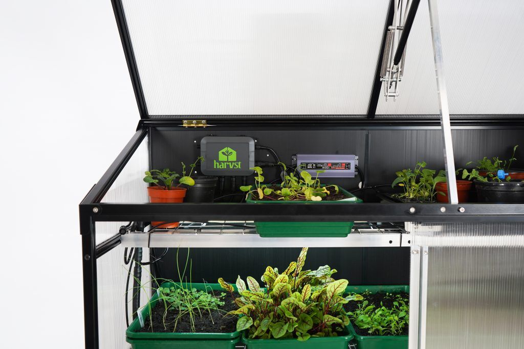 Five Benefits to Vertical Growing - Harvst