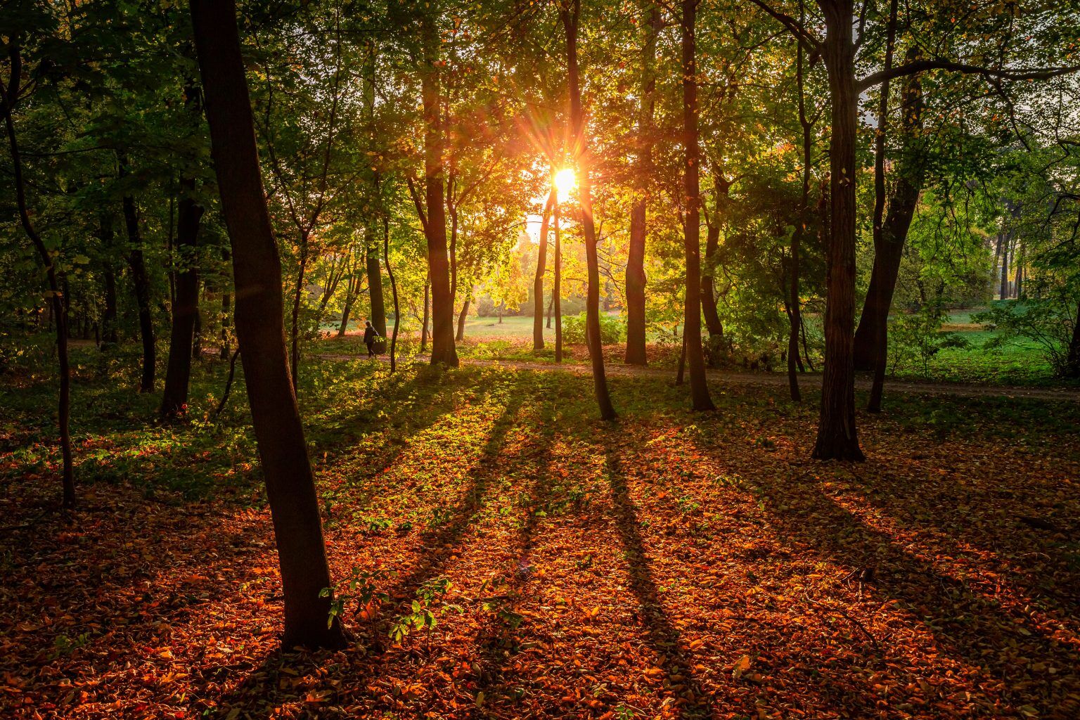 When does Autumn start in the UK? The Autumn Equinox and what it means ...